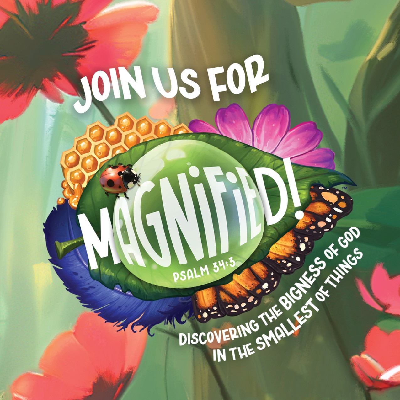 Magnified Vacation Bible School
