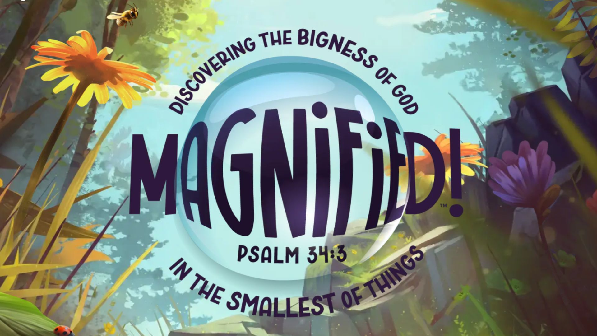 VBS